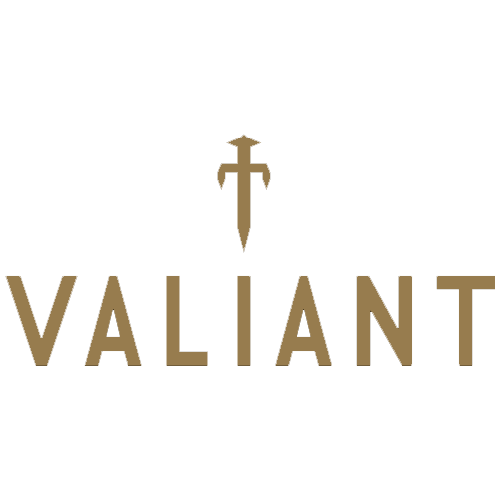 Specflue: Flues, Chimneys, Wood Burning and Pellet Stoves